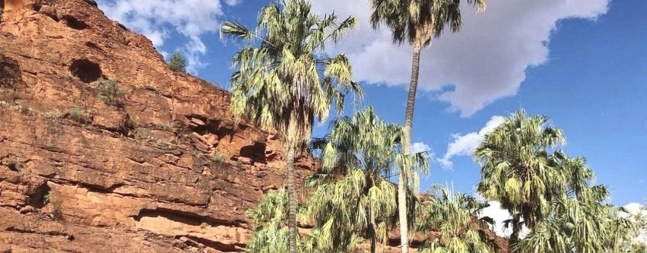 Finke Gorge National Park - Norther