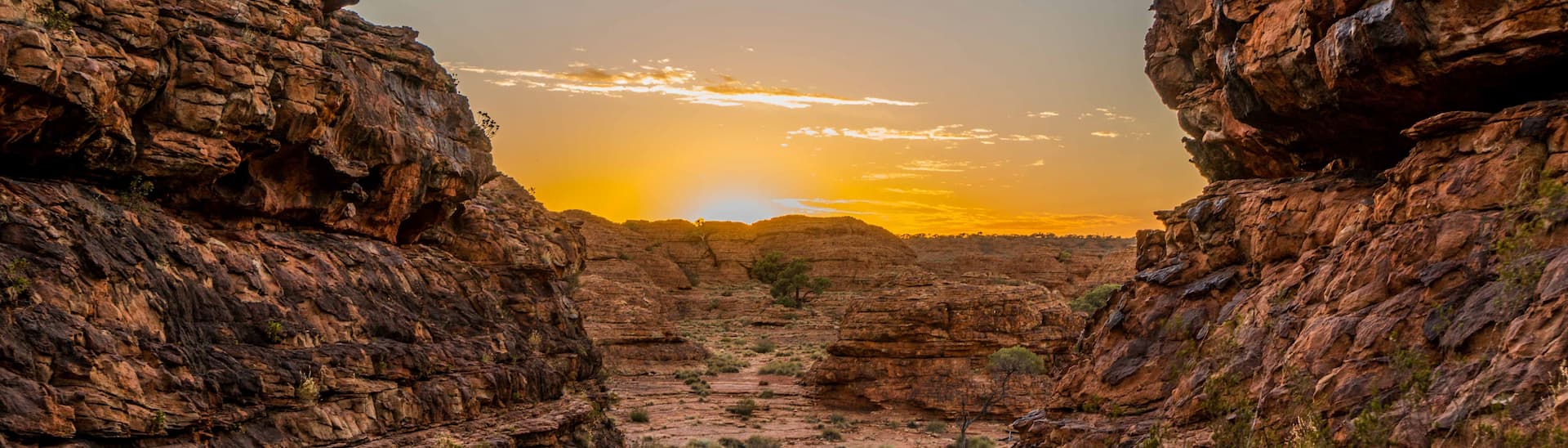 Watarrka National Park & Kings Canyon Guide