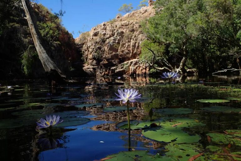 7 Crocwise Tips for Staying Safe in the Northern Territory