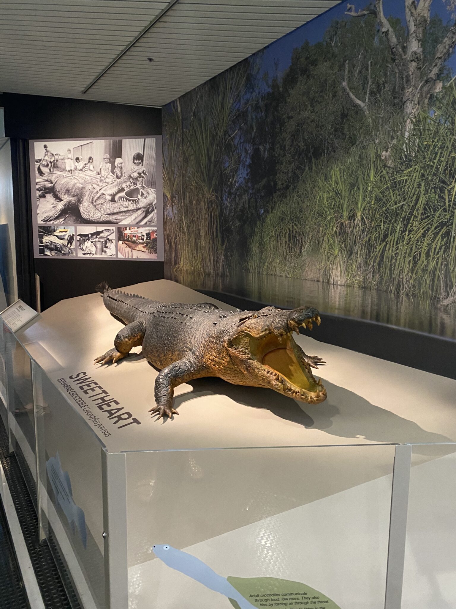 3 Days in Darwin: A Must Do Itinerary for 2026