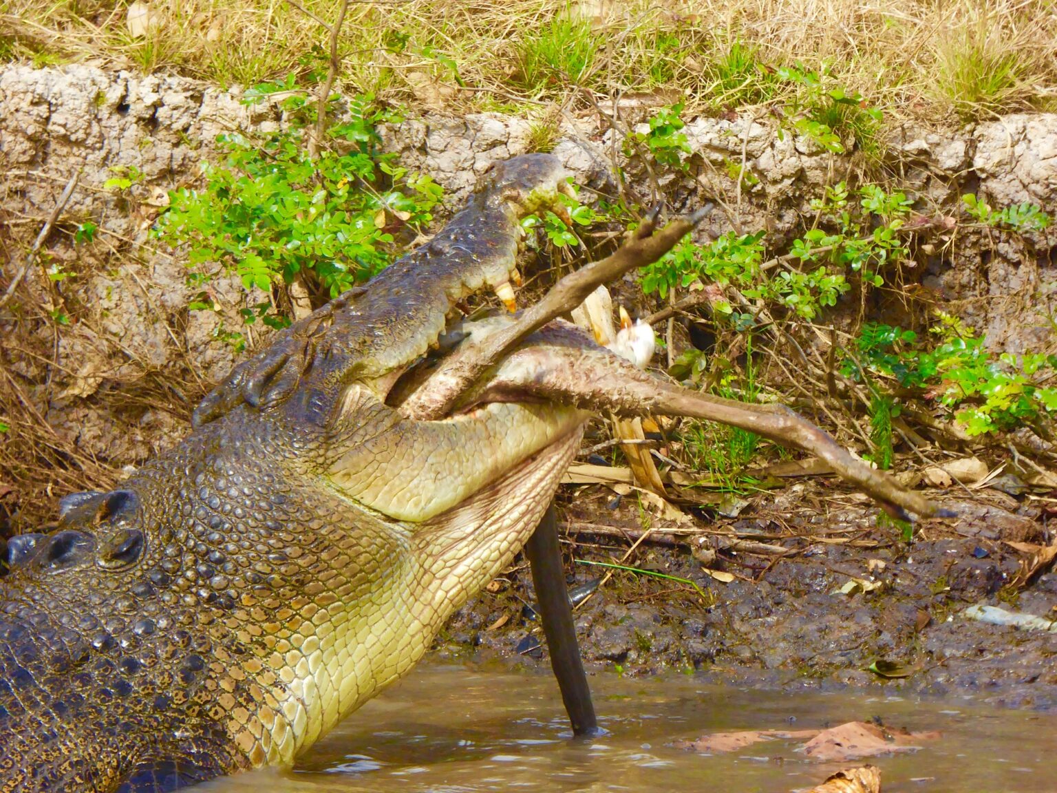 7 Crocwise Tips for Staying Safe in the Northern Territory