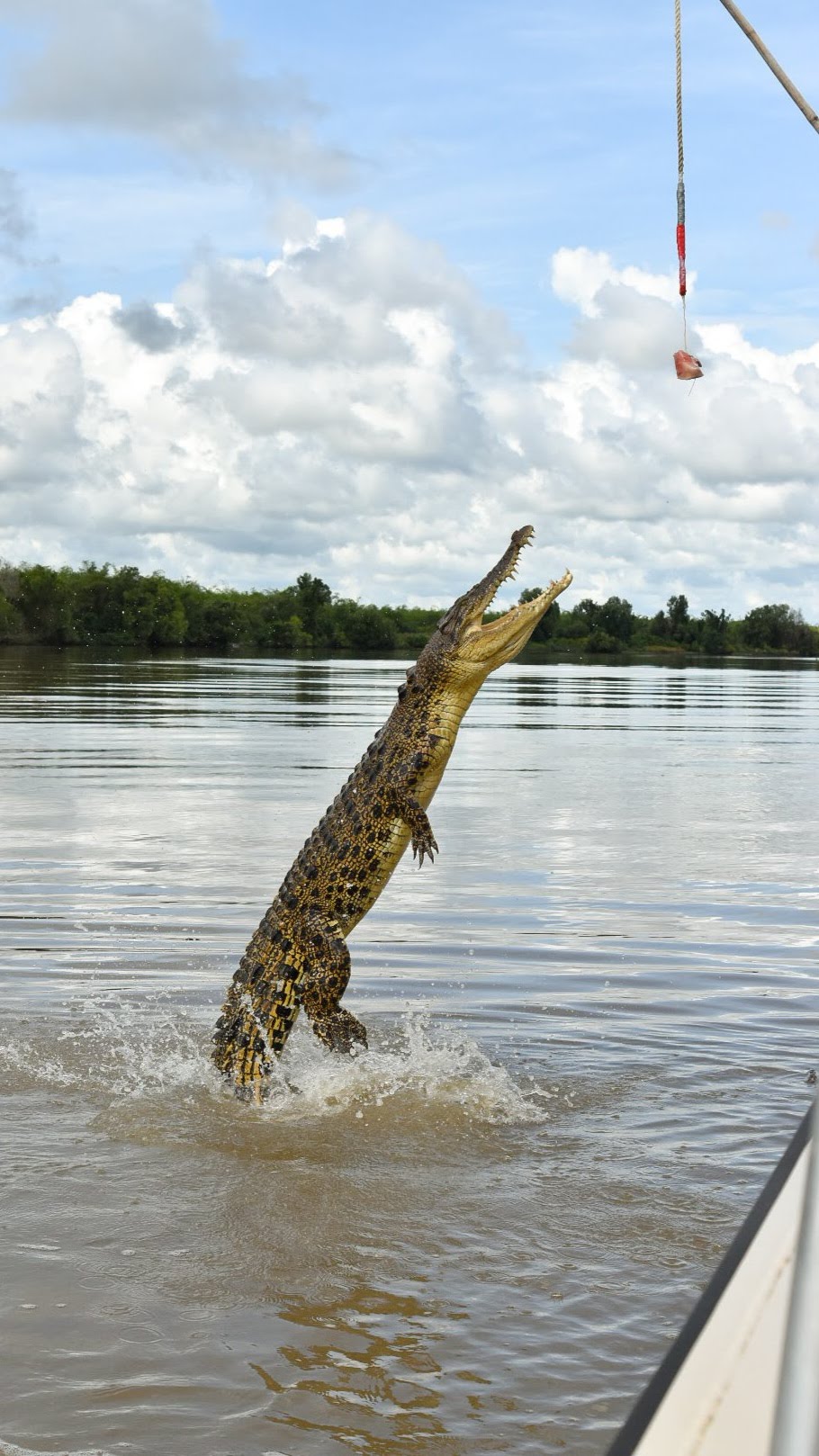 7 Crocwise Tips for Staying Safe in the Northern Territory