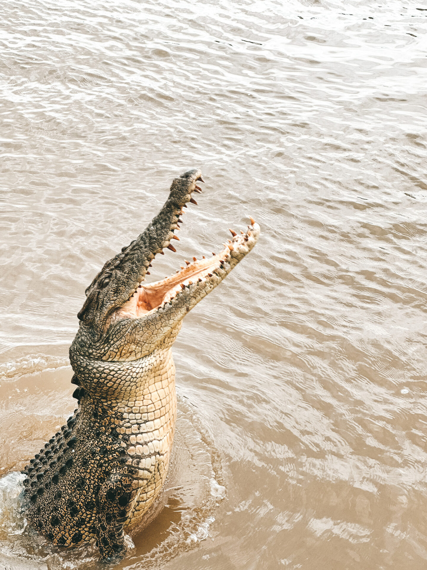 7 Crocwise Tips for Staying Safe in the Northern Territory