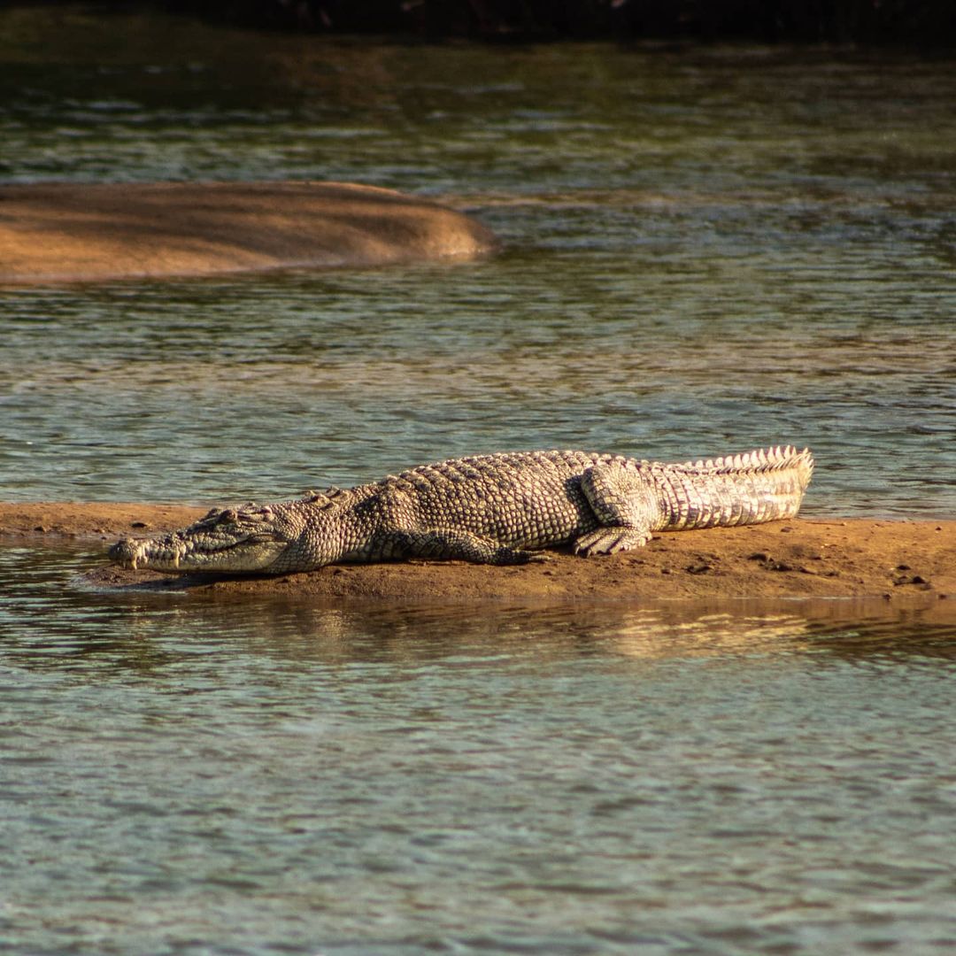 7 Crocwise Tips for Staying Safe in the Northern Territory