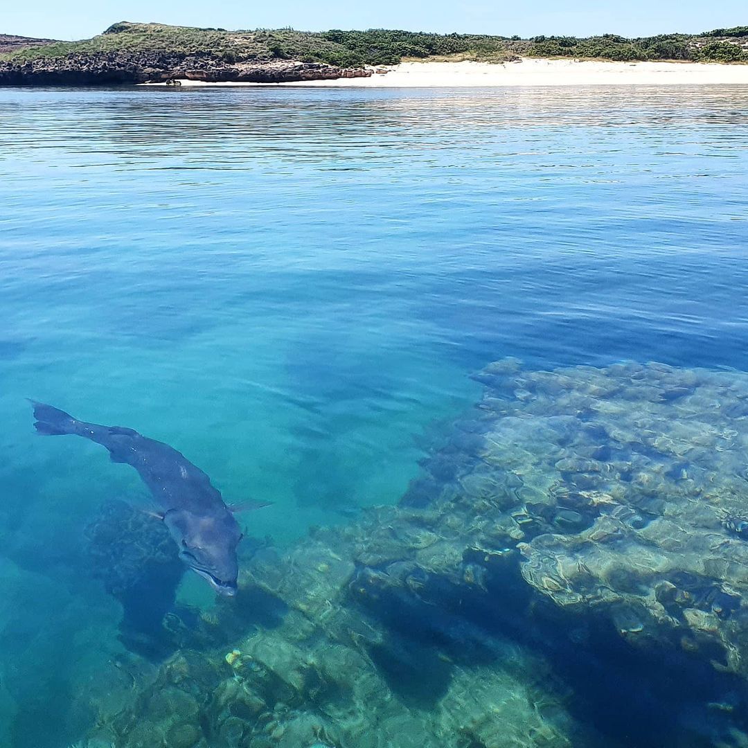 19 Unique Things You'll Only Find in Darwin