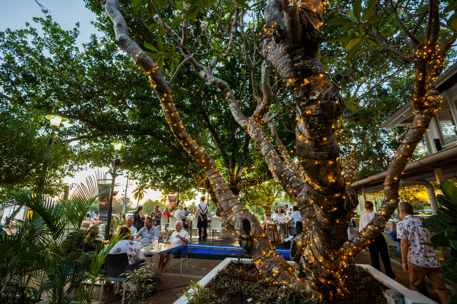 Char Restaurant: A Culinary Delight in Darwin - Norther
