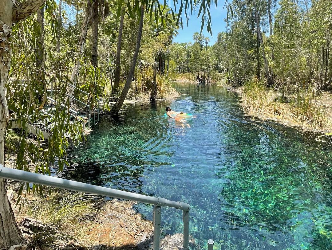 8 Things to Do in Mataranka: Hot Springs, Wildlife and More