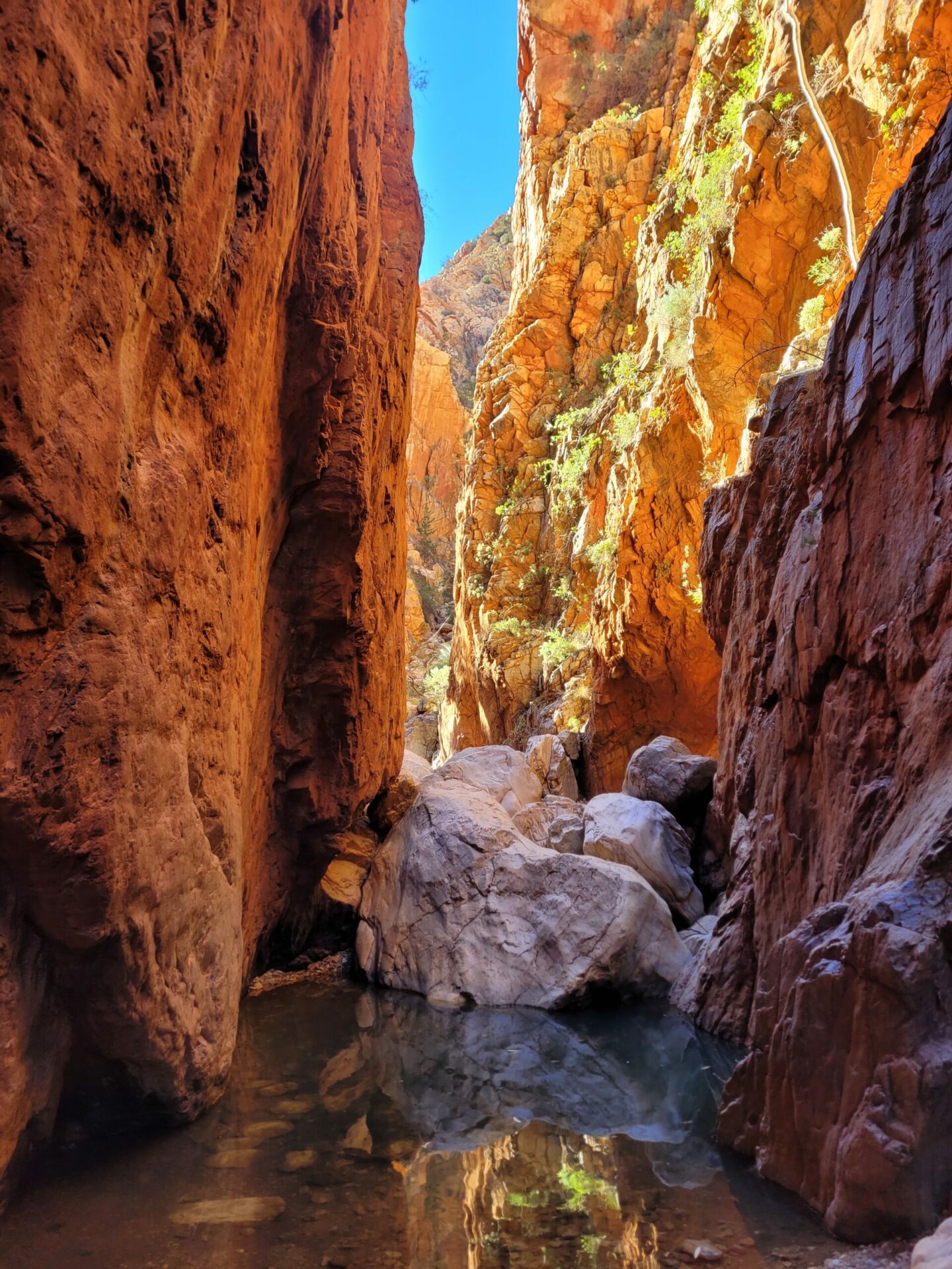 Standley Chasm Travel Guide: Must-Dos, Camping & Tours