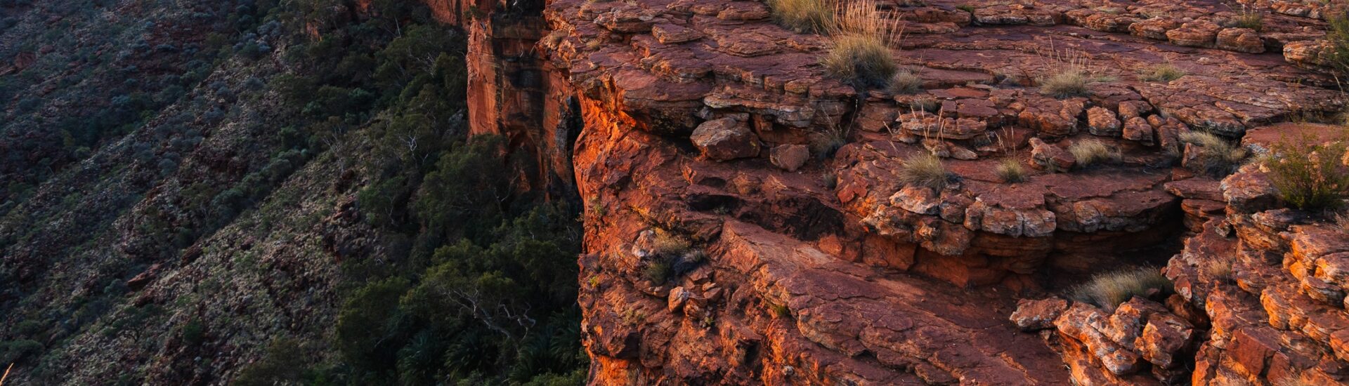 Watarrka National Park Guide: King's Canyon & The Rim Walk