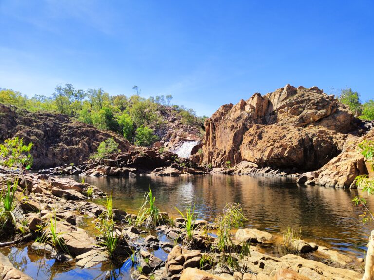 Edith Falls Guide (Leliyn): Nitmiluk National Park