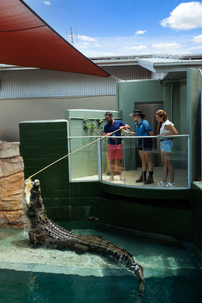 Crocosaurus Cove Darwin: A Visitor's Guide With Tips