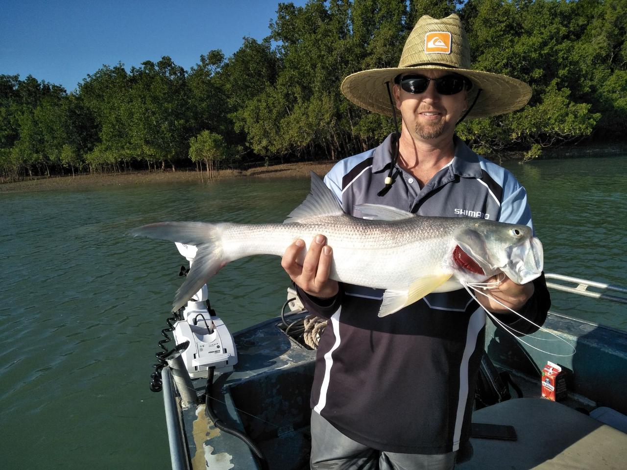 Wet Season Darwin Guide for 2024: What to Expect & Tips