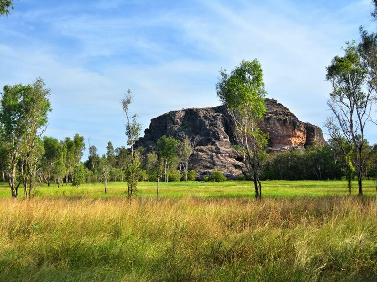 10 Best Kakadu Tours From Darwin - 2026 NT Guide